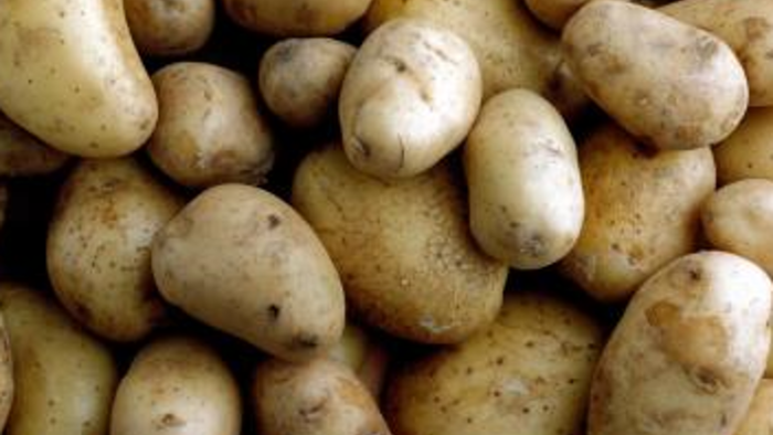 Signum® - BASF Agricultural Solutions | NL