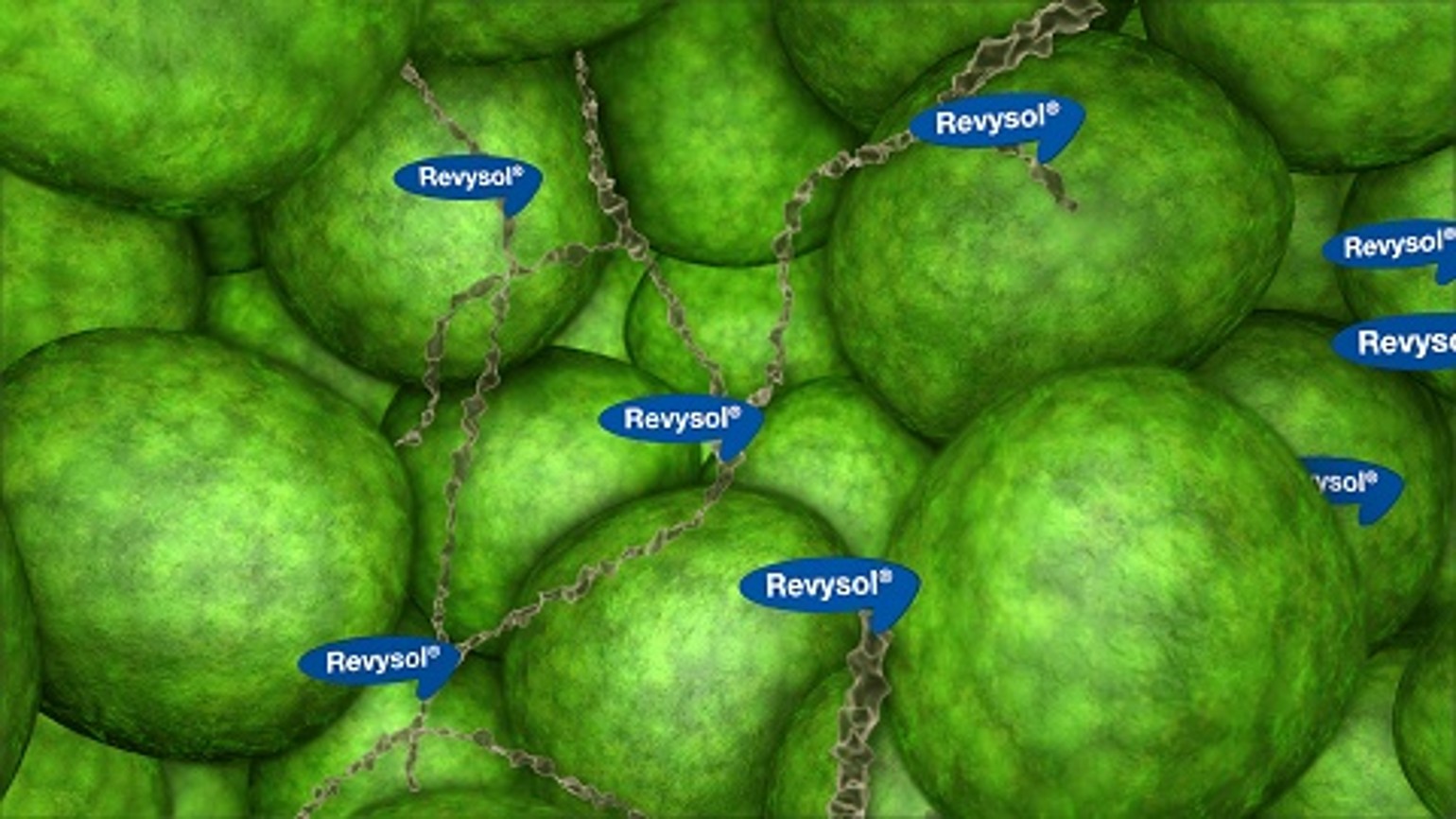 Revysol