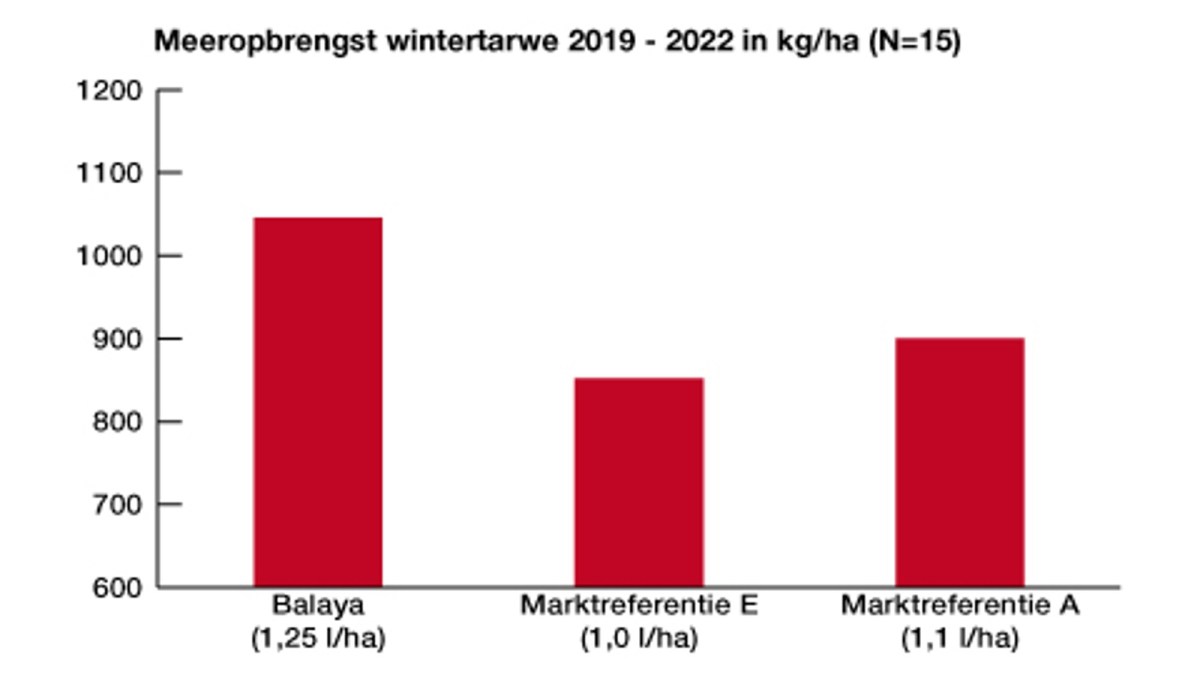 Balaya® - het beste resultaat in tarwe