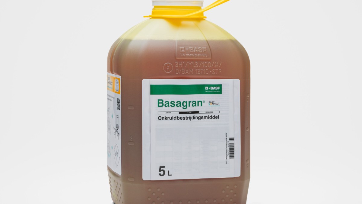 Contactherbiciden weer hard nodig in aardappelen - BASF Agricultural ...