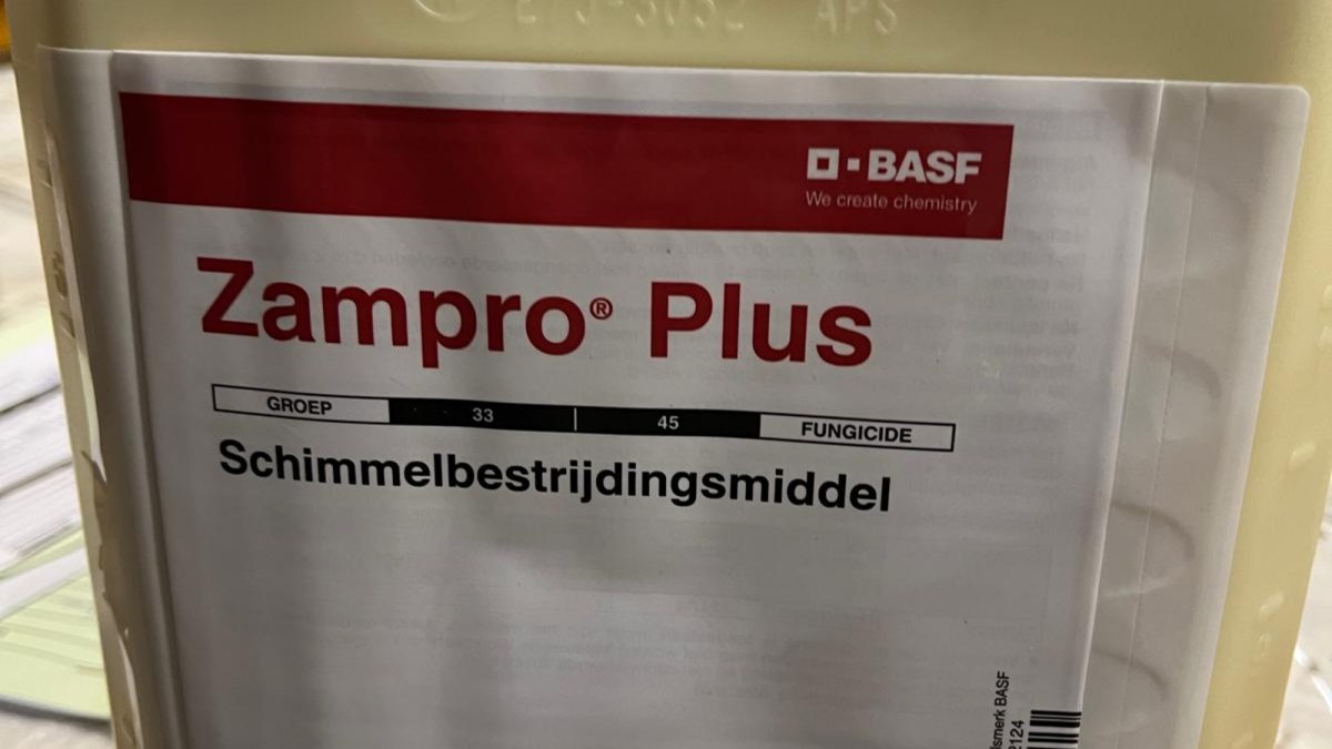 Zampro Plus, nieuw voor de phytophthora bestrijding - BASF Agricultural Solutions | NL